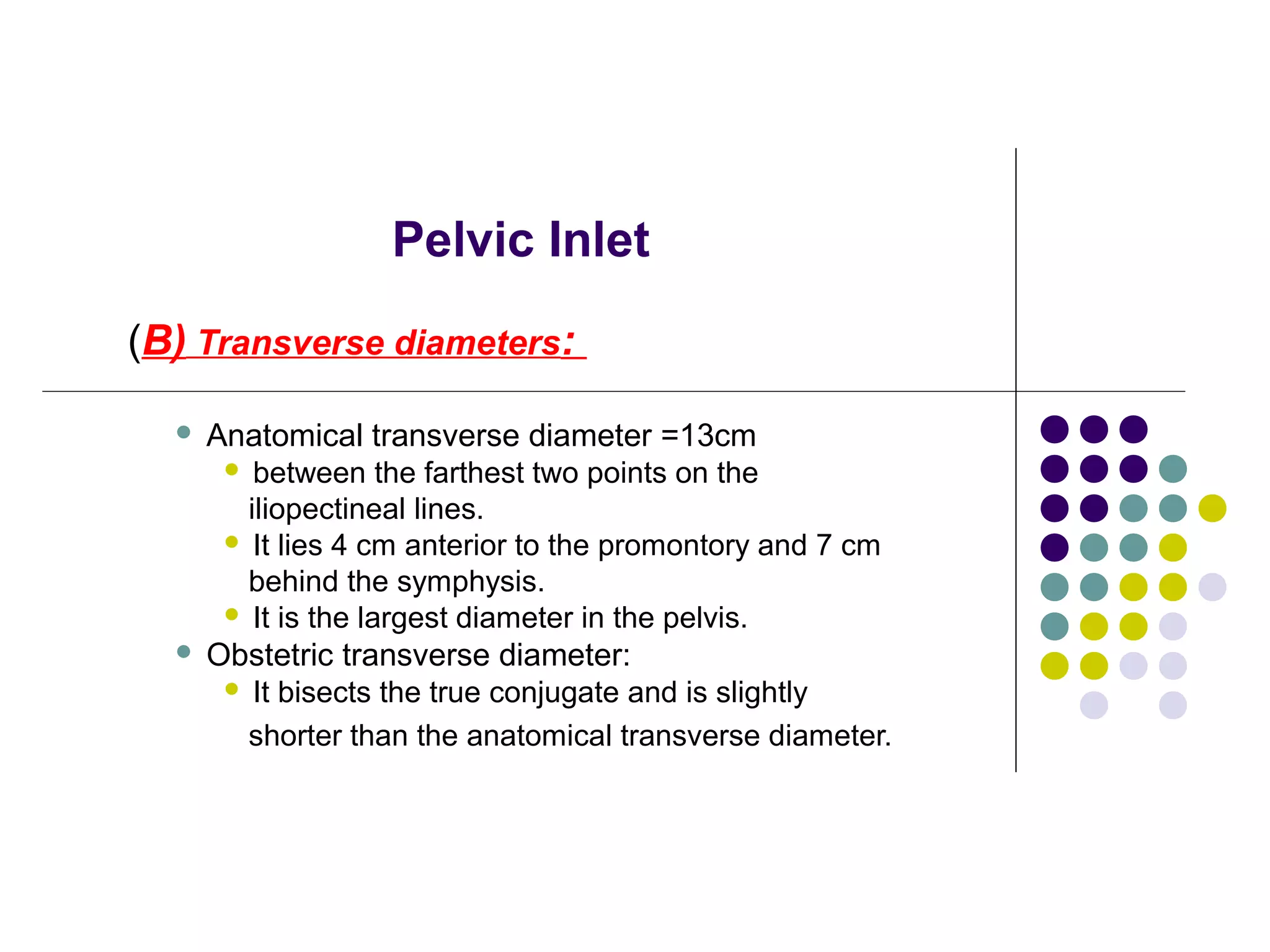 Pelvis and pelvimetry | PPT