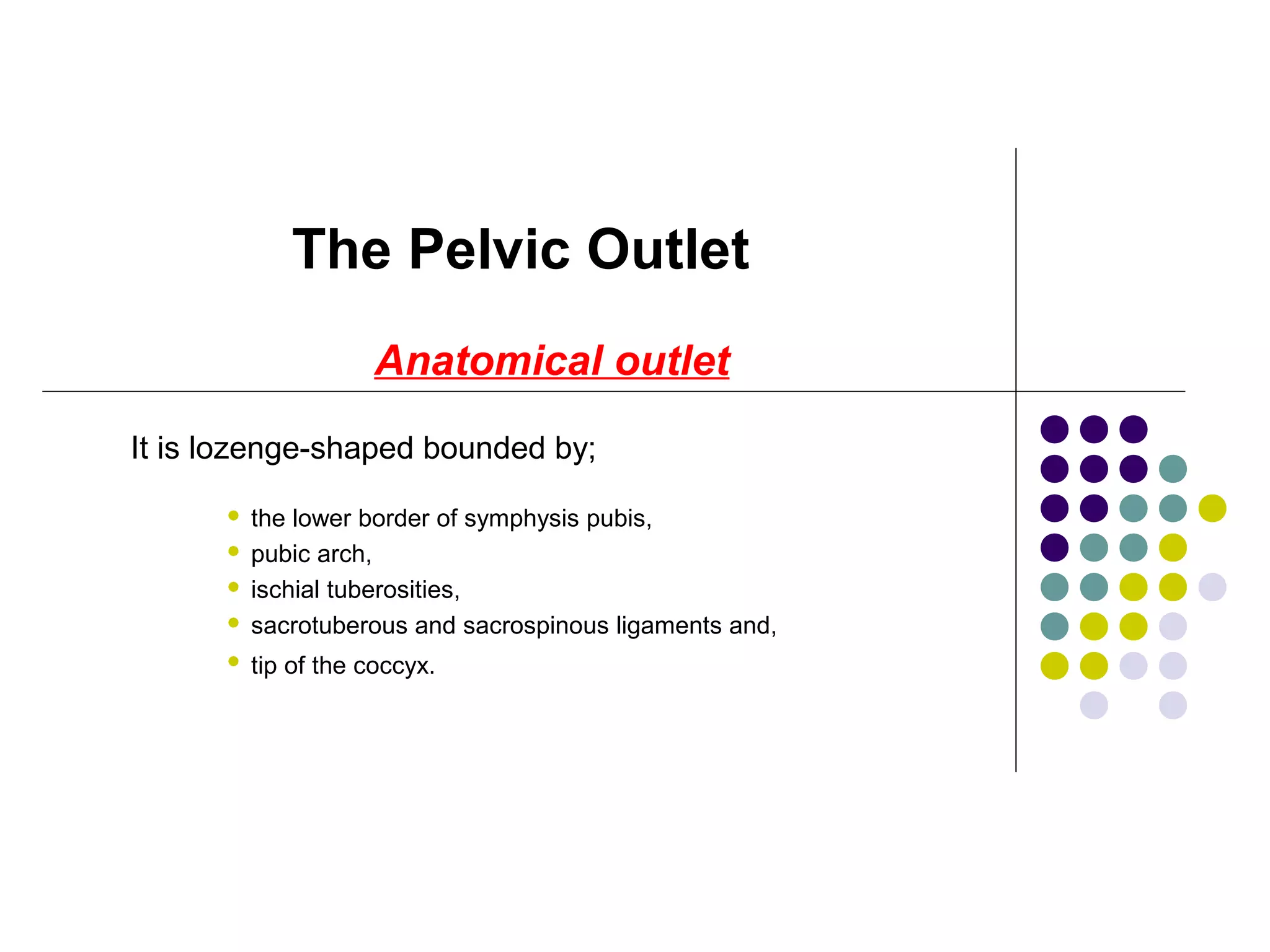 Pelvis and pelvimetry | PPT