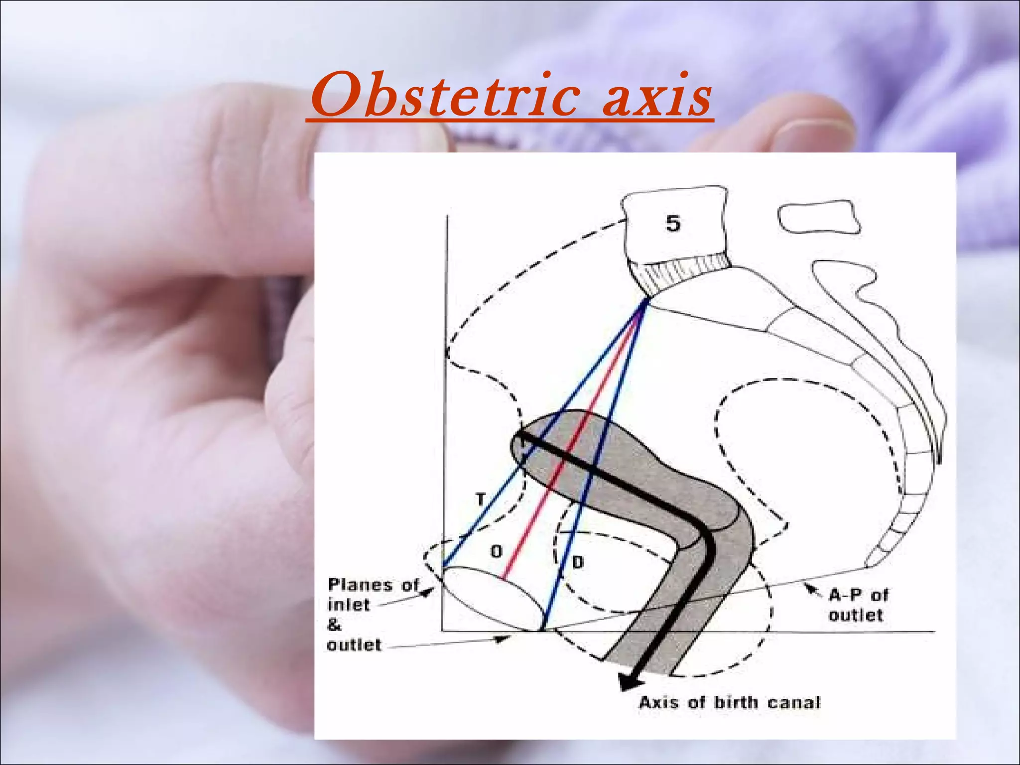 Pelvis and pelvimetry | PPT
