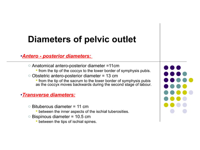 Pelvis and pelvimetry | PPT