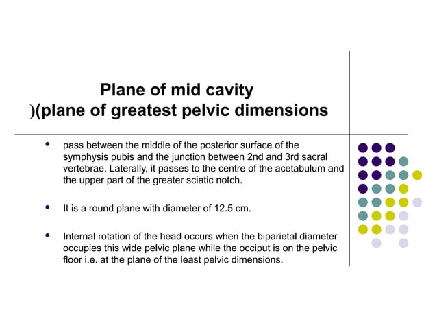 Pelvis And Pelvimetry Ppt