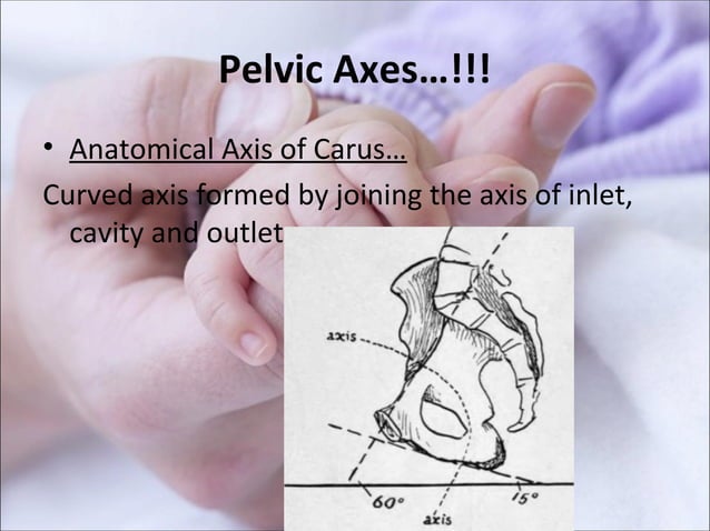 Pelvis and pelvimetry | PPT
