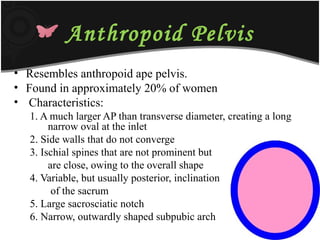 Pelvis and pelvimetry | PPT