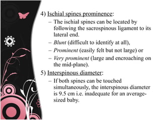 Pelvis and pelvimetry | PPT