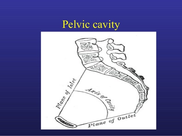 Pelvis and pelvimetry