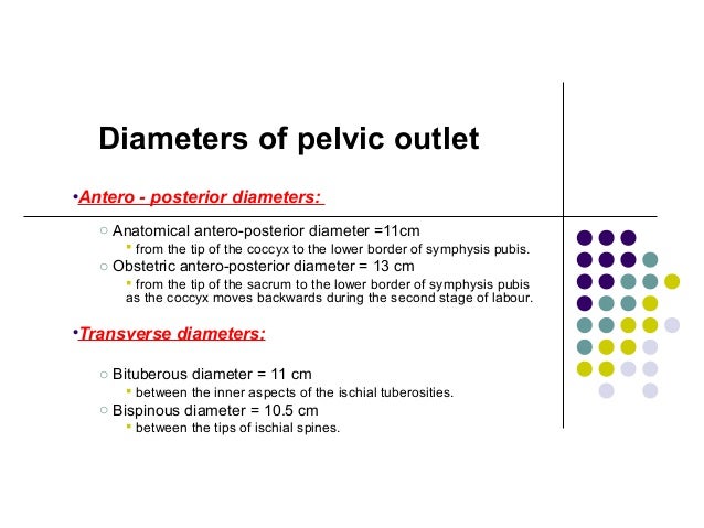 Pelvis and pelvimetry