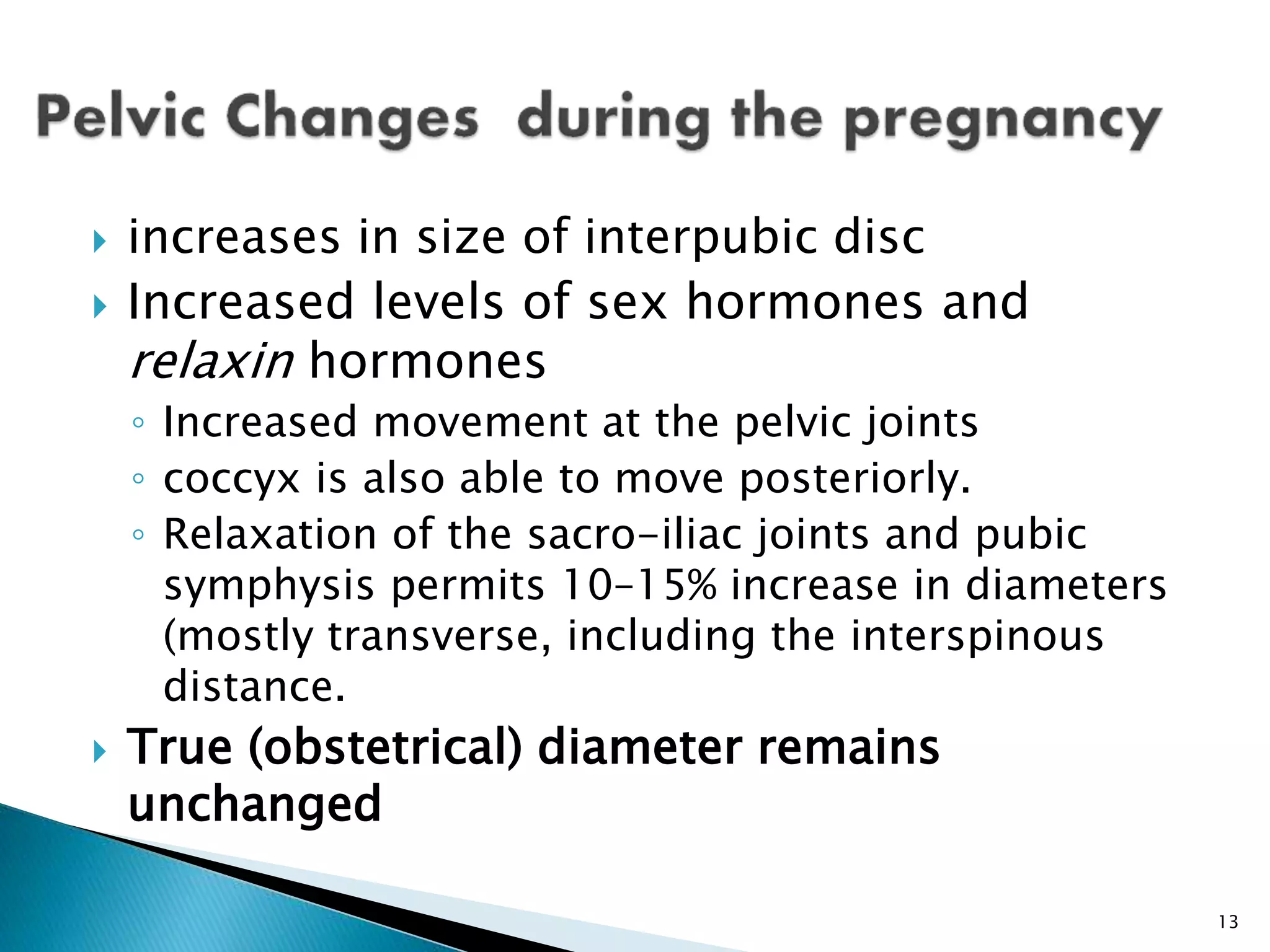 Pelvis and perineum | PPTX