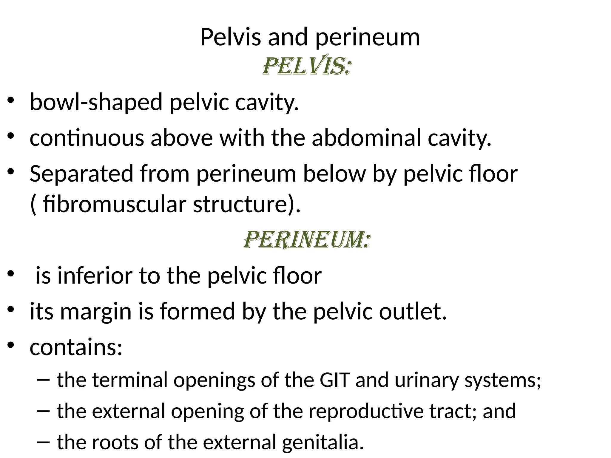 pelvis and perineum lecture not for midwifery nurses | PPTX
