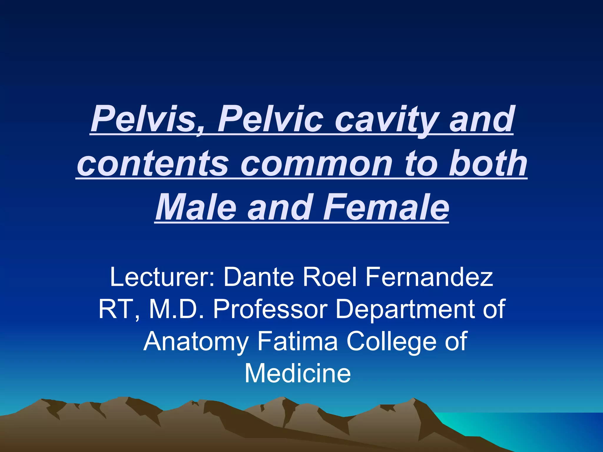 Pelvis By Dr. Fernandez | PPT