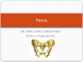 Pelvis_Completa[1].pptx anatomía de la pelvis | PPTX