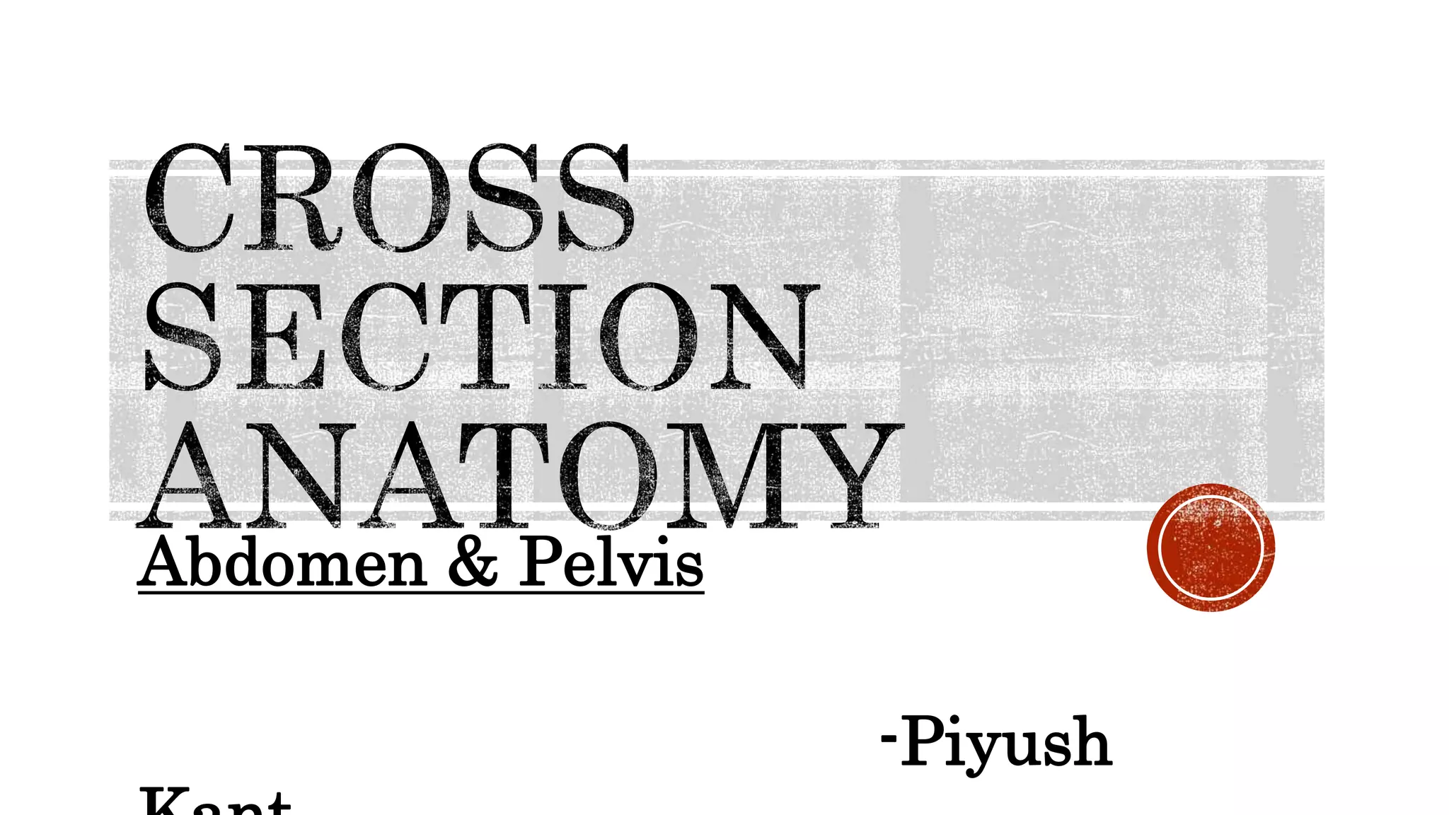 Pelvis cross section anatomy | PPTX