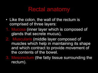 Pelvis ct pathology | PPTX
