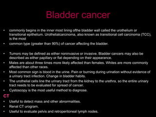 Pelvis ct pathology | PPTX