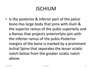 PELVIS DR. TOWO 29.01.2024.ppt