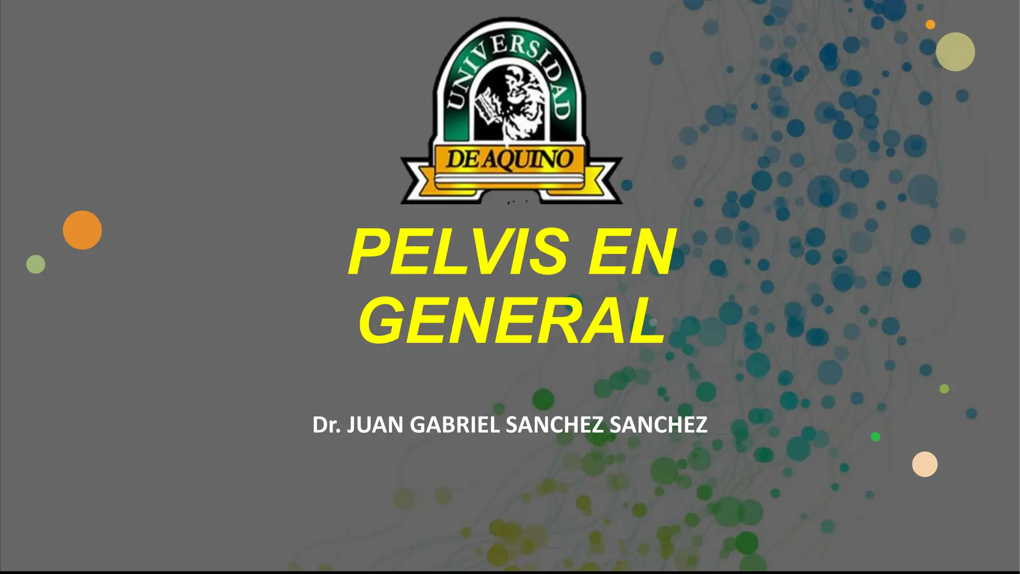 anatomia de la PELVIS EN GENERAL anatomia.pptx