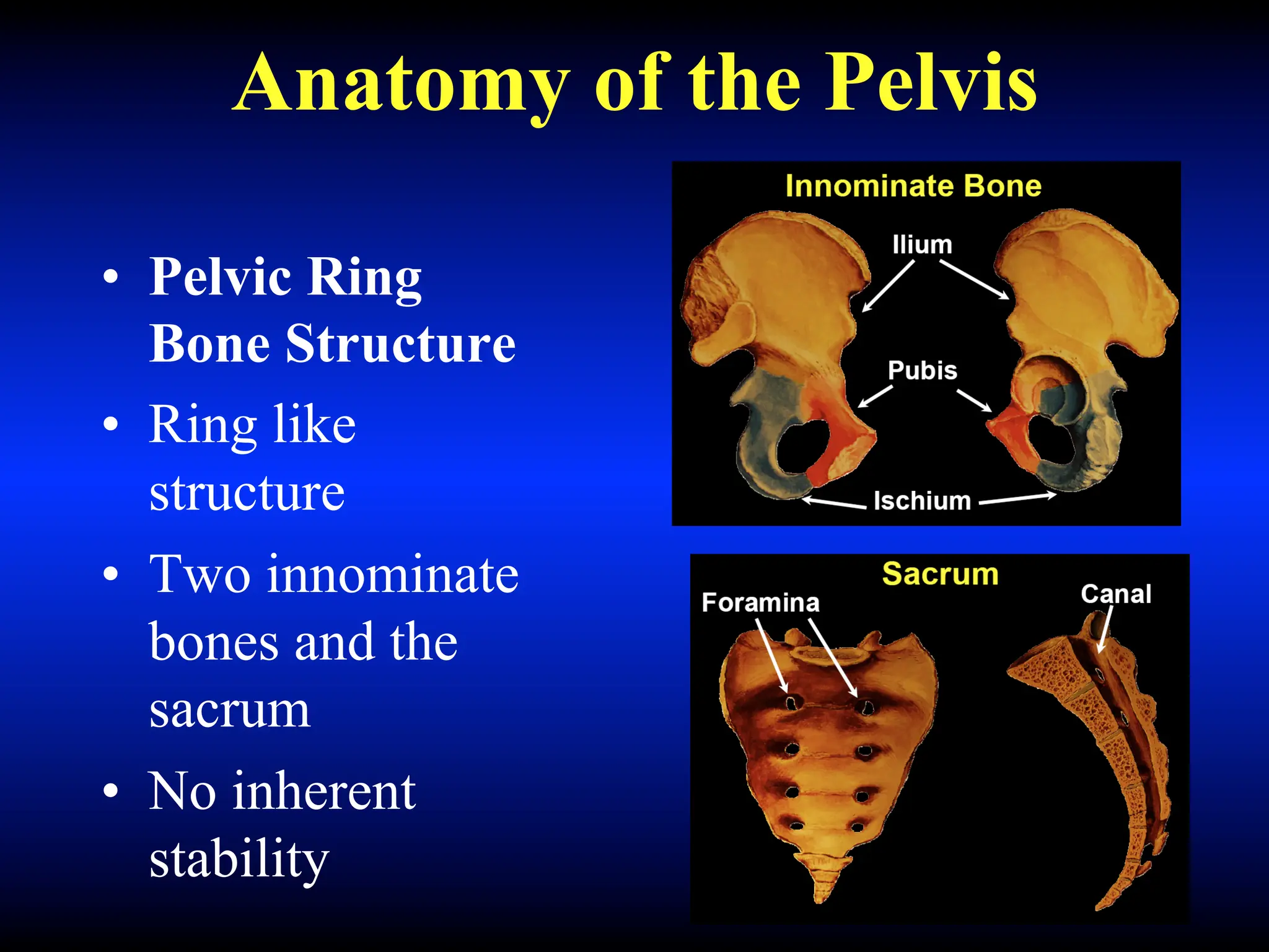 Pelvis Fracture.pdf