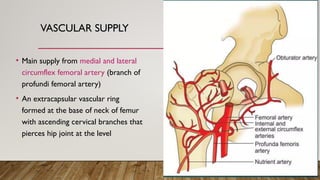 PELVIS FRACTURES AND HIP DISLOCATIONS.pptx