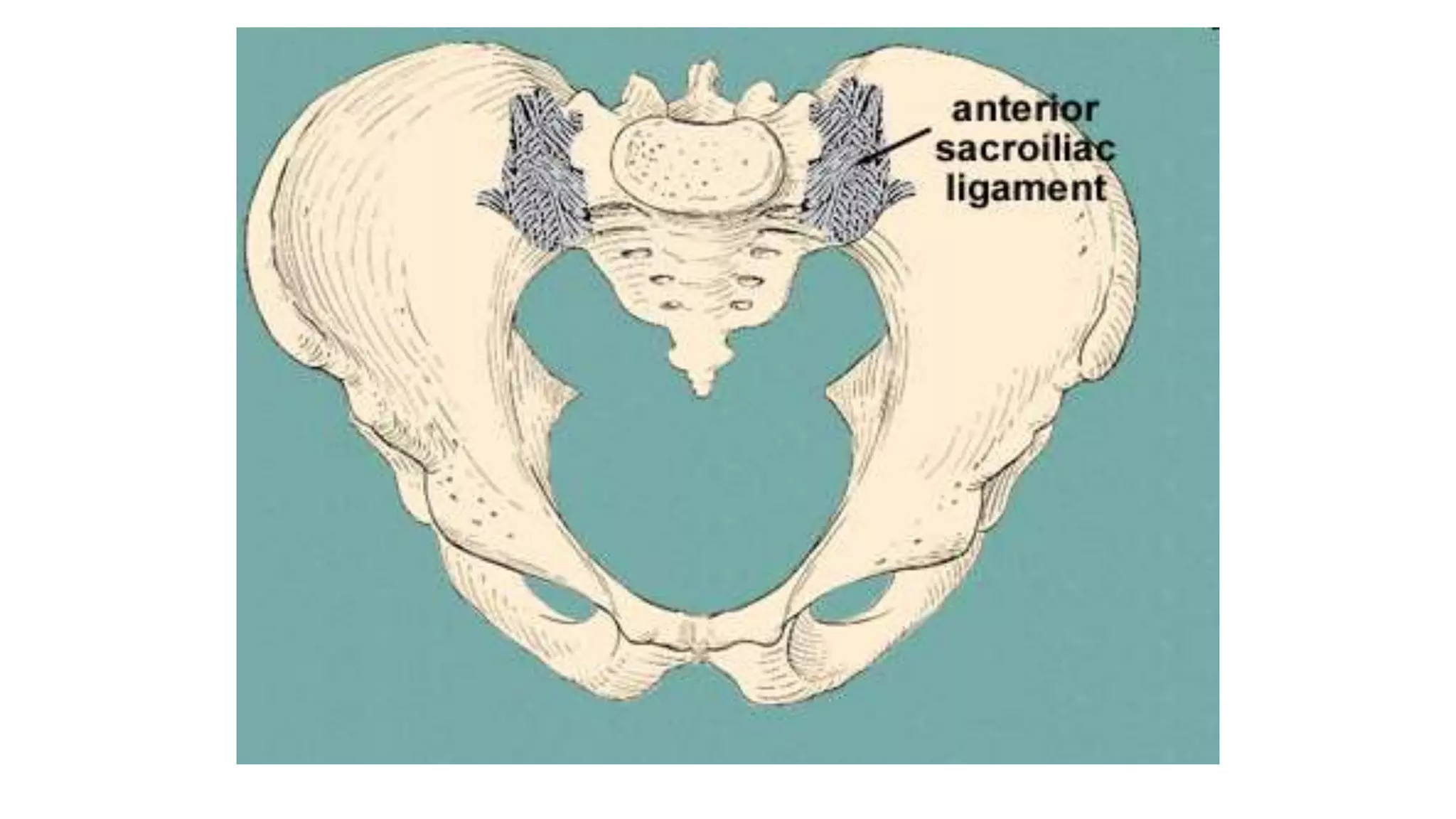 pelvis fractures corrected.pptx