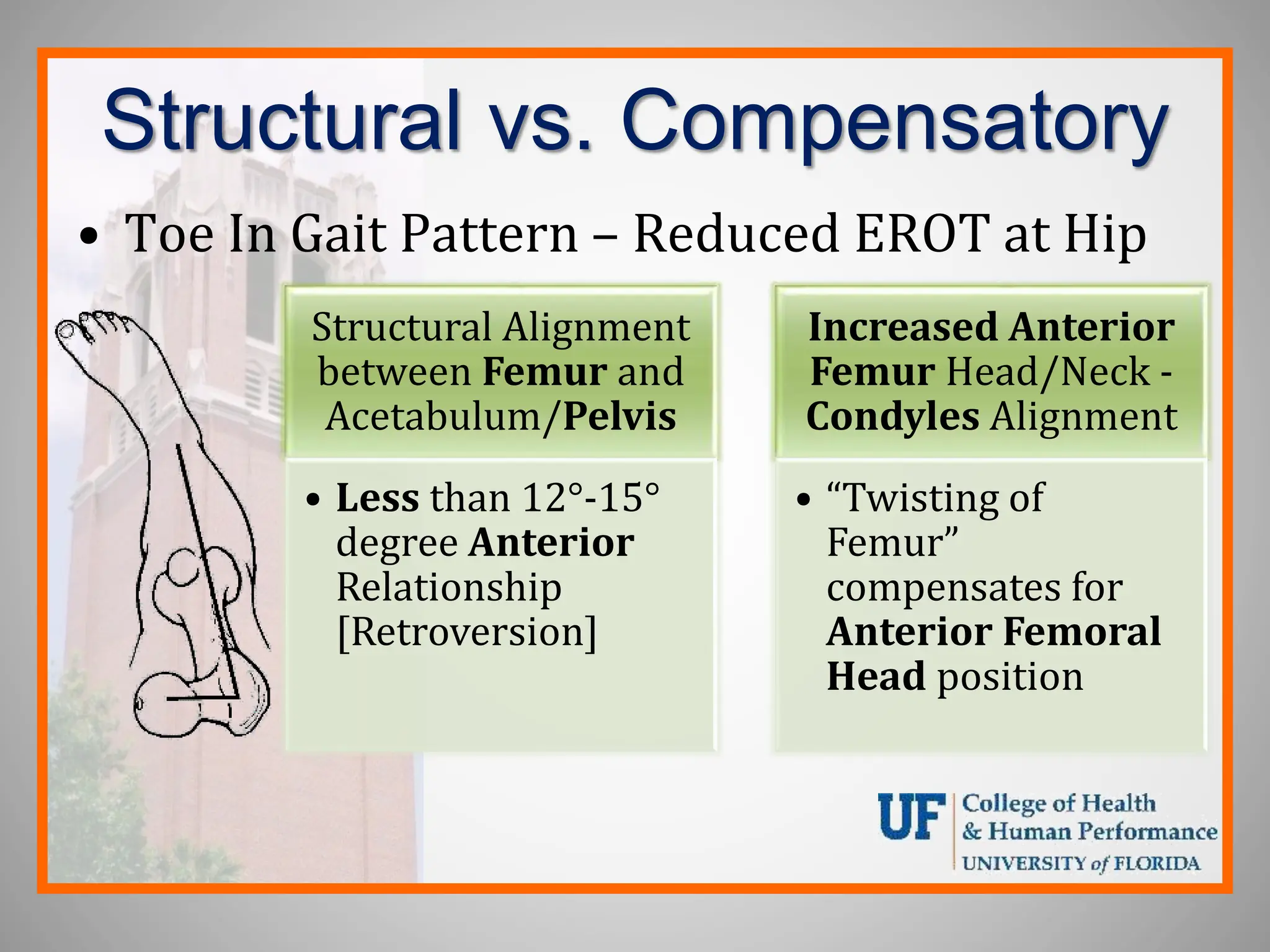 Pelvis, Hip and Thigh Pathologies.pptx