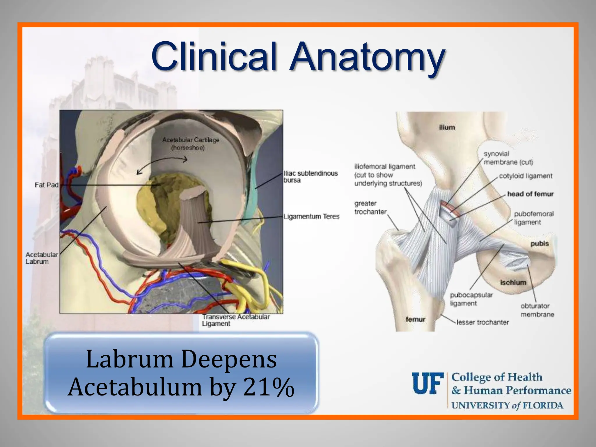 Pelvis, Hip and Thigh Pathologies.pptx