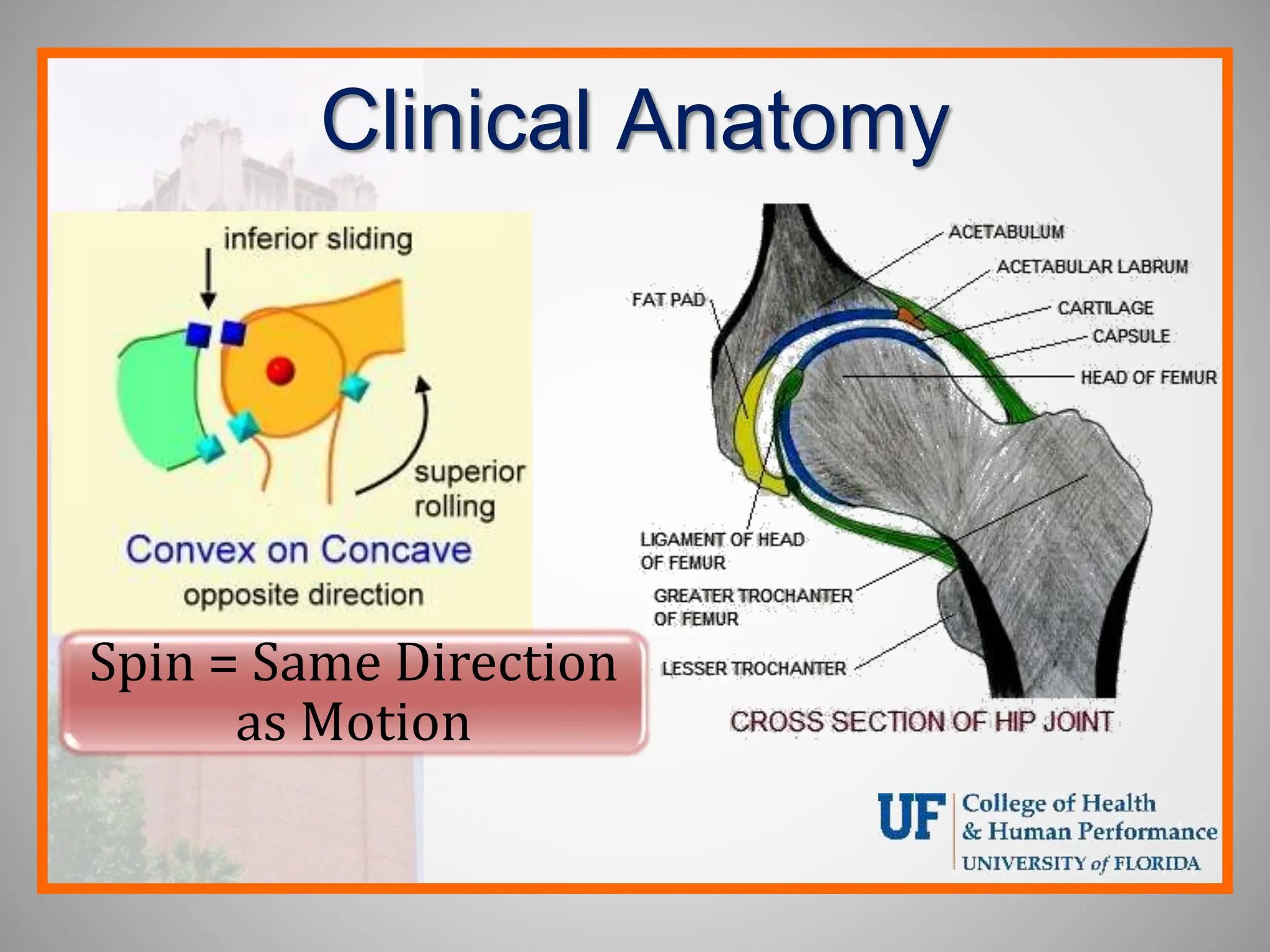 Pelvis, Hip and Thigh Pathologies.pptx