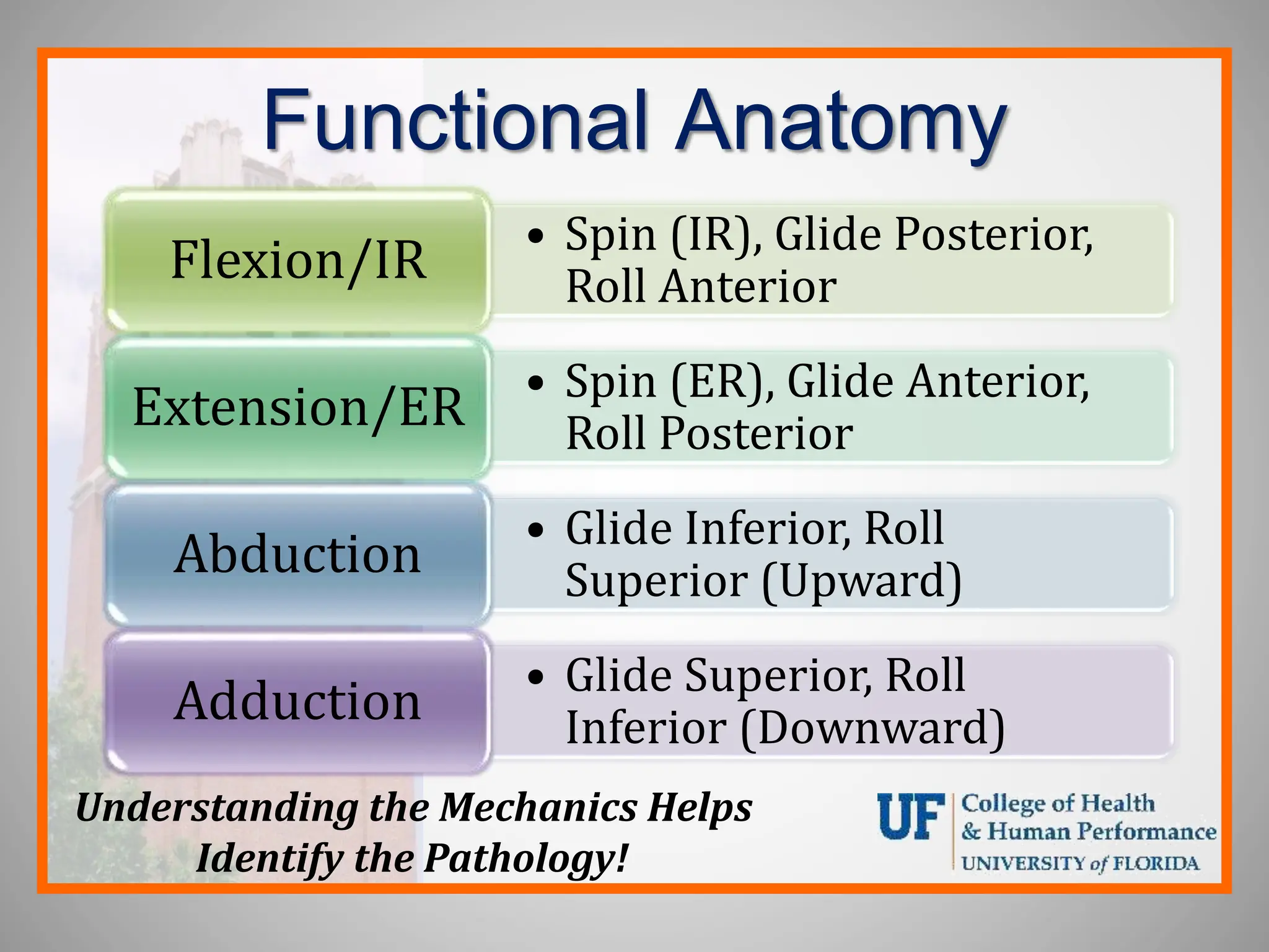 Pelvis, Hip and Thigh Pathologies.pptx