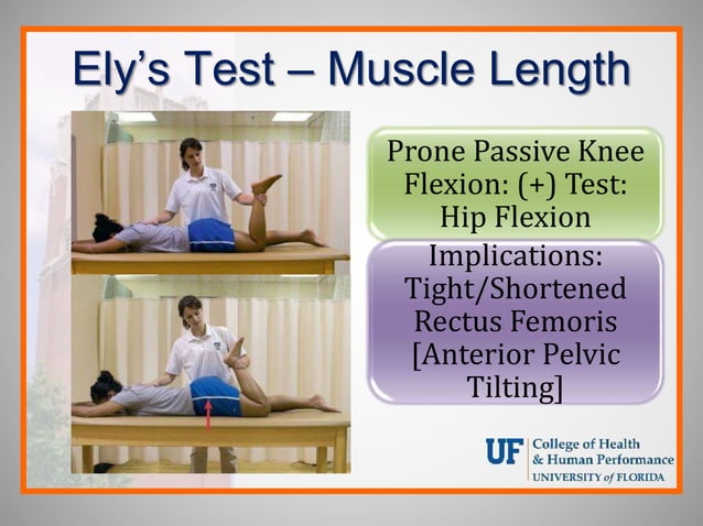 Pelvis, Hip and Thigh Pathologies.pptx | Death, Injury, or Military ...