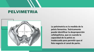Diapositivas sobre la Pelvis completa... | PPTX