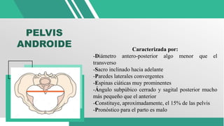 Diapositivas sobre la Pelvis completa... | PPTX