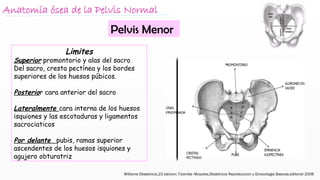pelvis materna.pptx....................... | PPTX