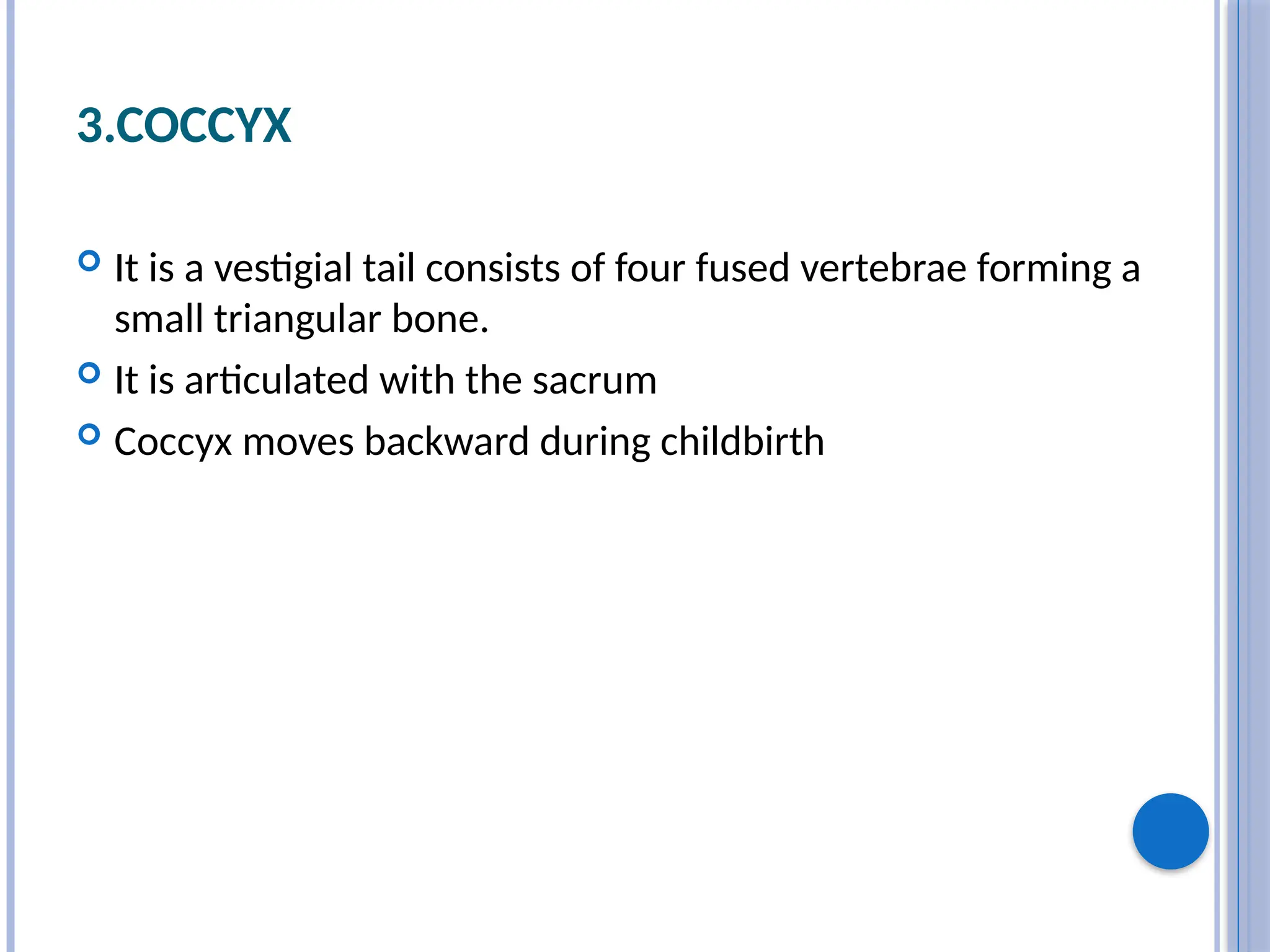 pelvis nd sacrum ppt.pptx and its process | PPTX