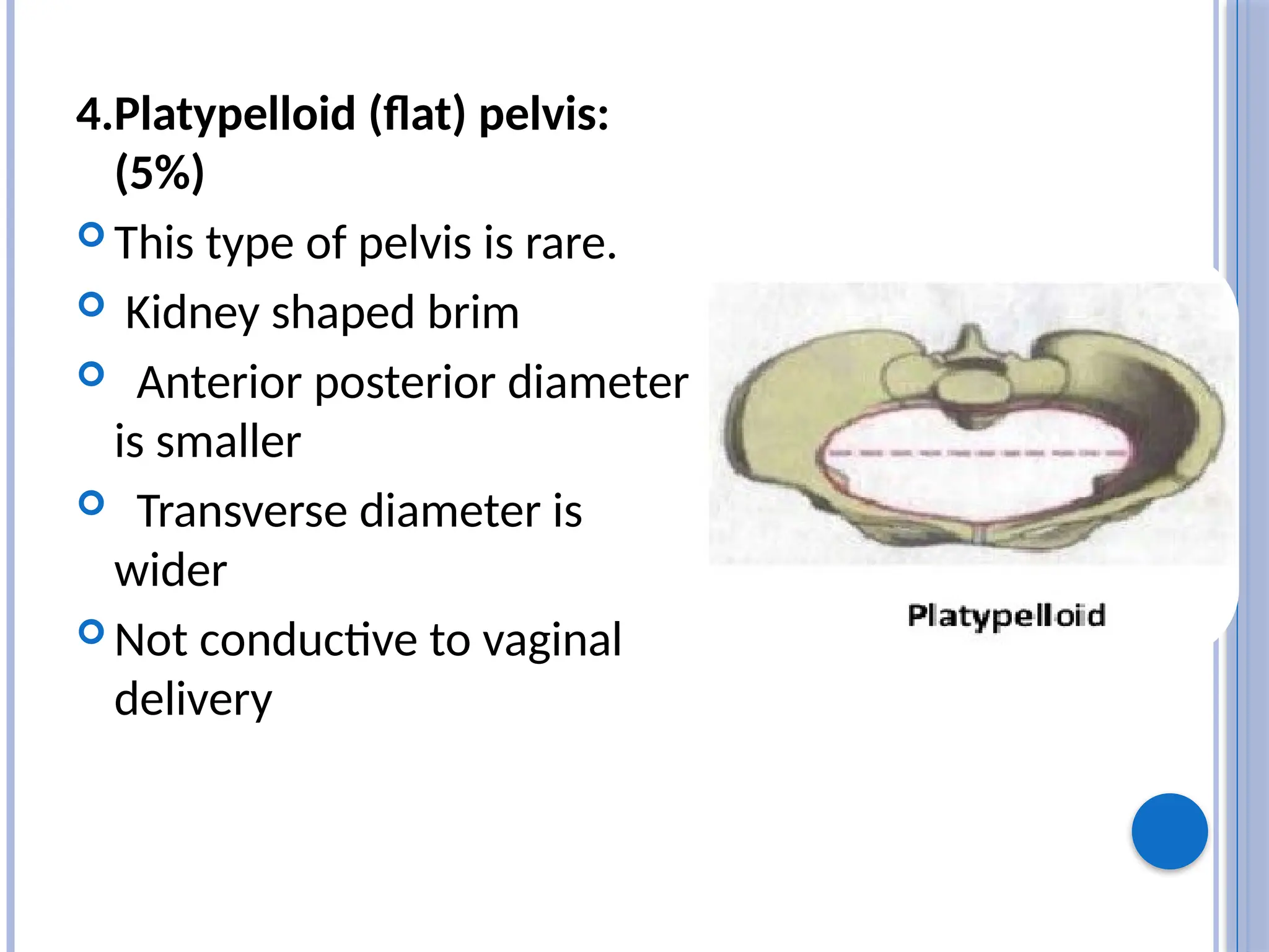 pelvis nd sacrum ppt.pptx and its process | PPTX