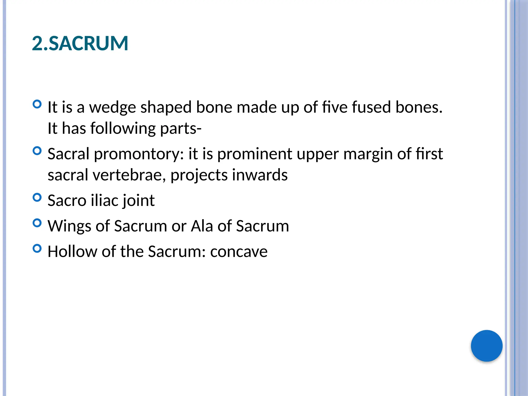 pelvis nd sacrum ppt for theory classes and practical purpose | PPTX