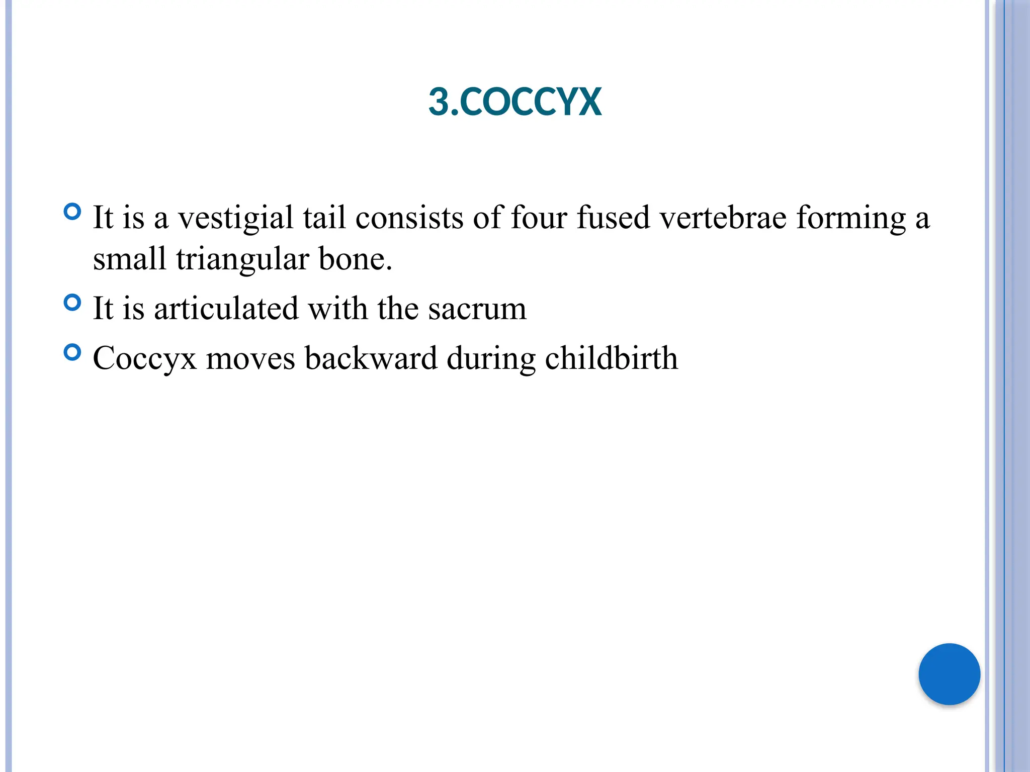 pelvis nd sacrum ppt for theory classes and practical purpose | PPTX