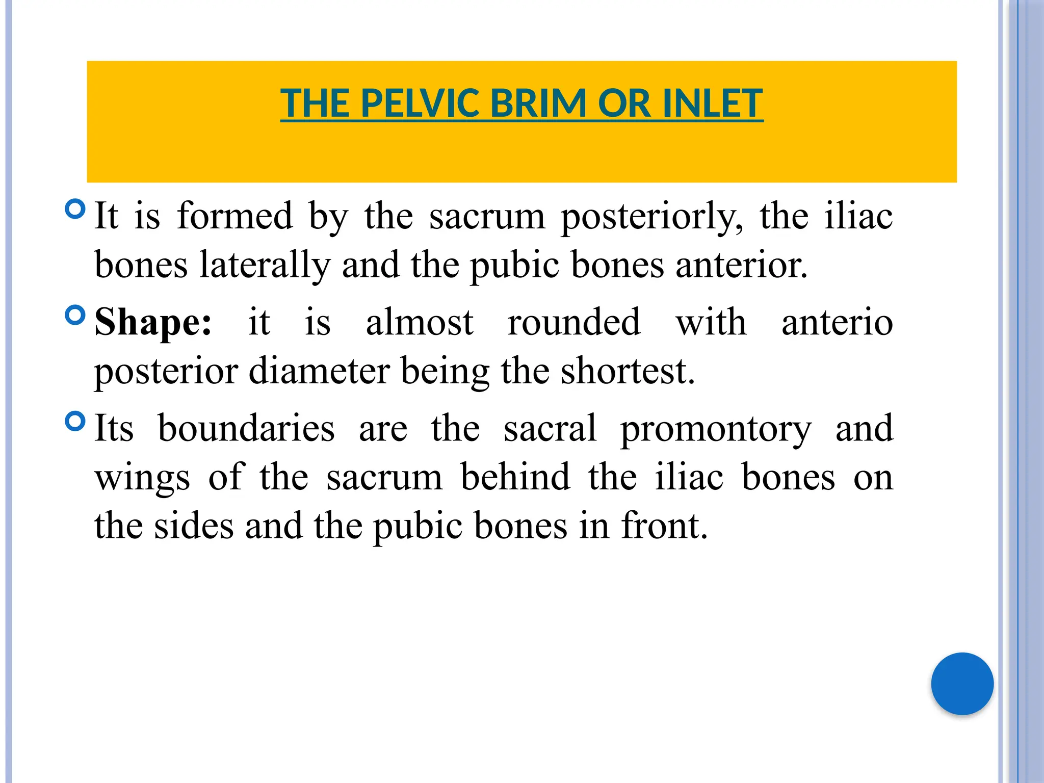 pelvis nd sacrum ppt for theory classes and practical purpose | PPTX