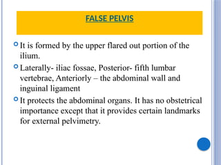 pelvis nd sacrum ppt for theory classes and practical purpose | PPTX