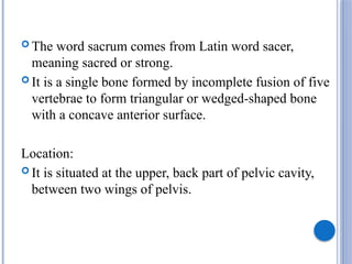 pelvis nd sacrum ppt for theory classes and practical purpose | PPTX