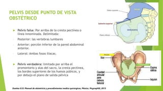 pelvis osea.pptx