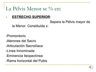PELVIS OSEA Con AUDIO.ppt obstetricia medicina | PPT