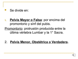 PELVIS OSEA Con AUDIO.ppt obstetricia medicina | PPT