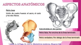 pelvis osea obstetrica | PPTX