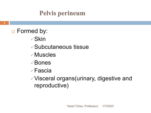 Pelvis perineum.pptx | Reproductive Health | Diseases and Conditions