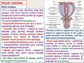 Gross anatomy notes of the PELVIS & PERINEUM | PDF