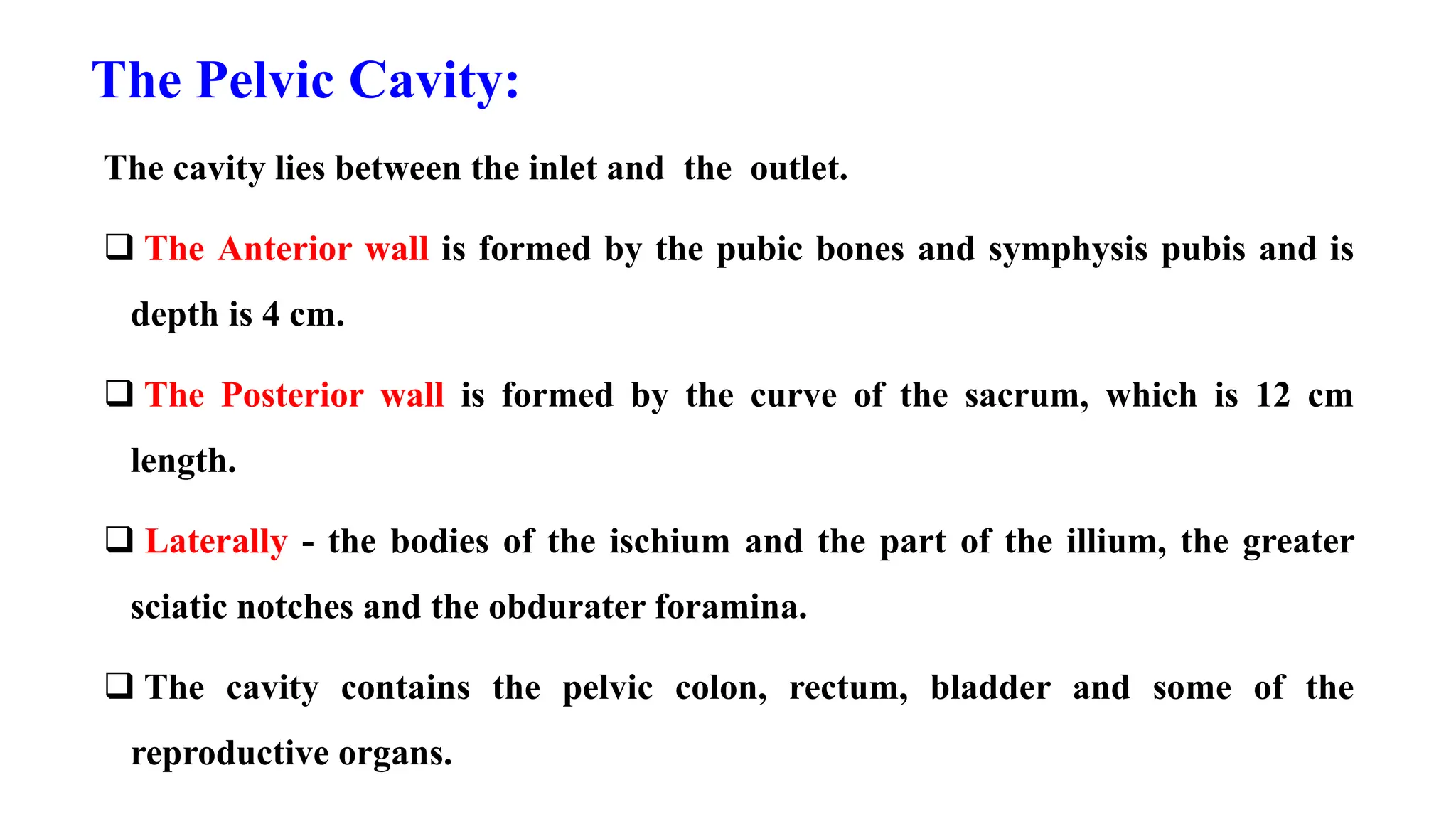 Anatomy of the pelvis- obstetrics and gynaecology | PPTX