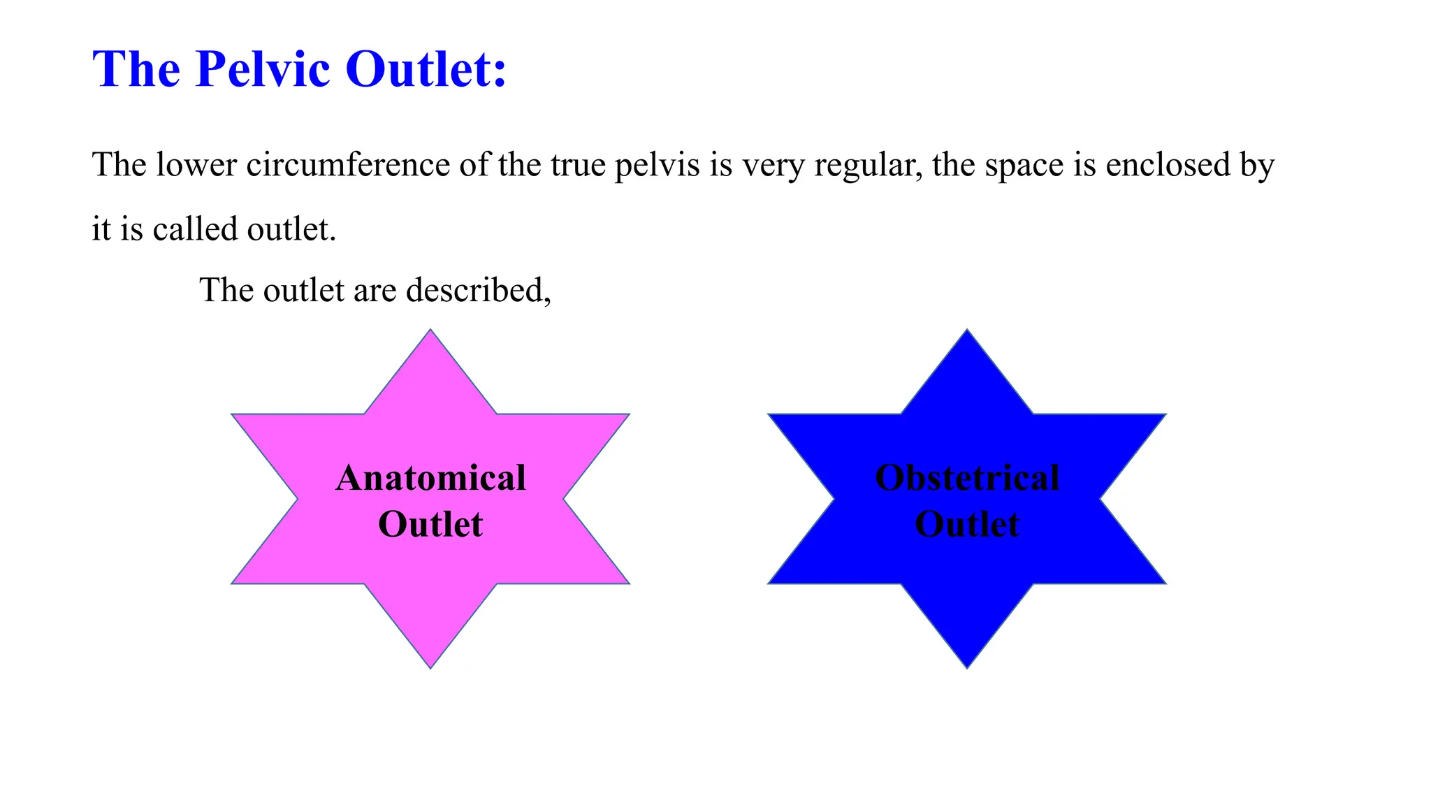 Anatomy of the pelvis- obstetrics and gynaecology | PPTX