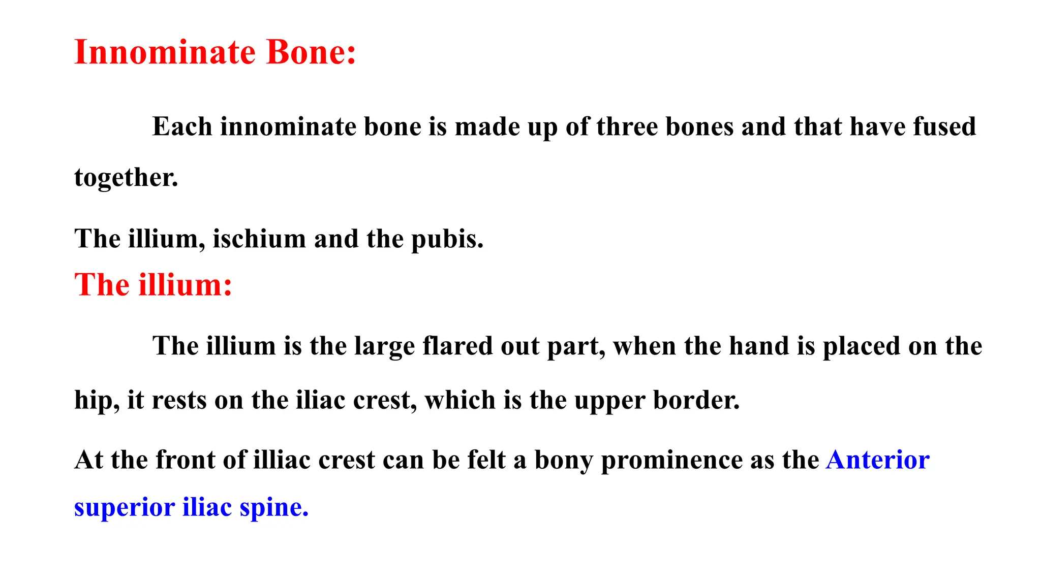 Anatomy of the pelvis- obstetrics and gynaecology | PPTX