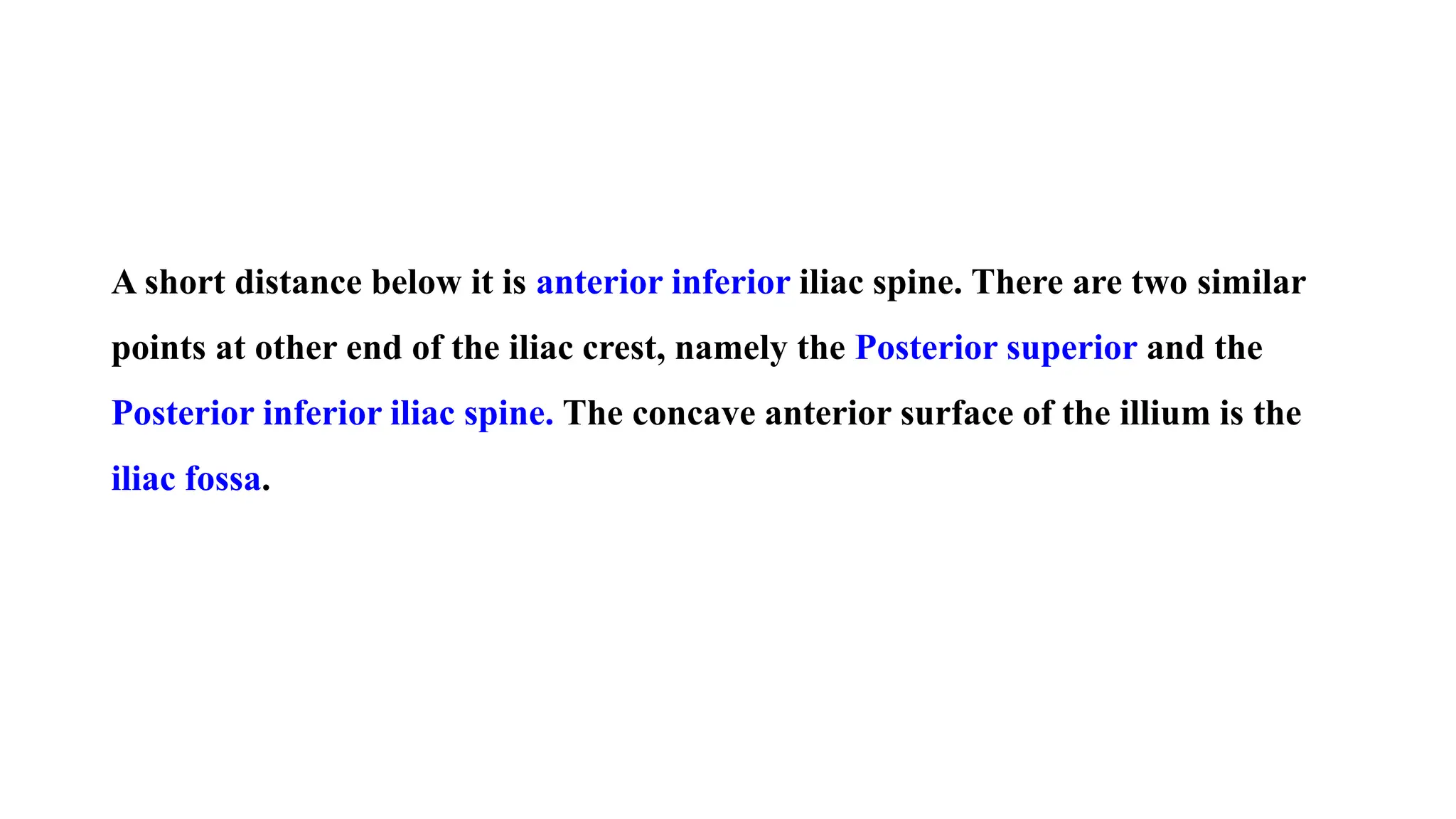Anatomy of the pelvis- obstetrics and gynaecology | PPTX
