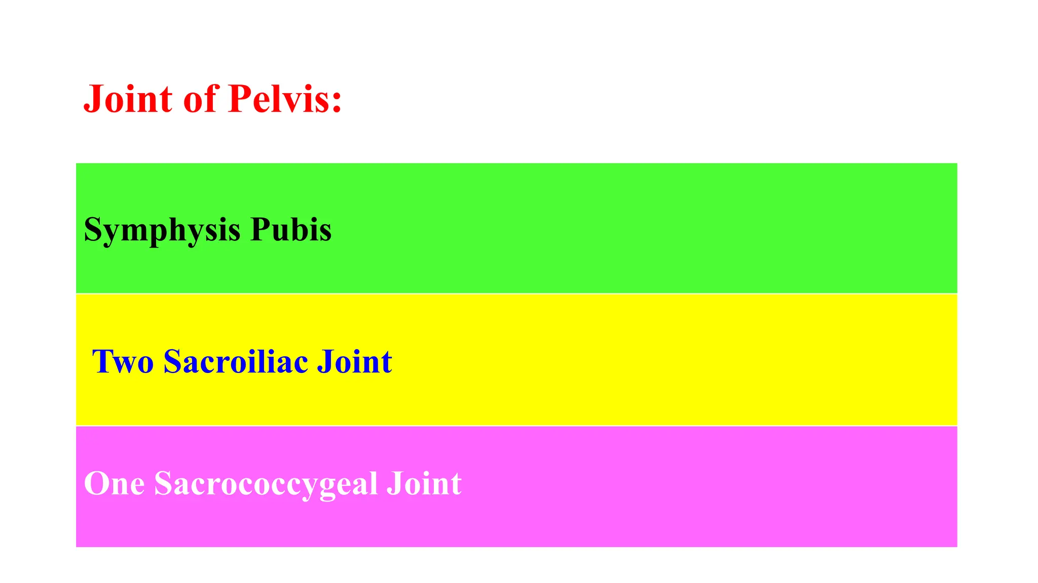 Anatomy of the pelvis- obstetrics and gynaecology | PPTX