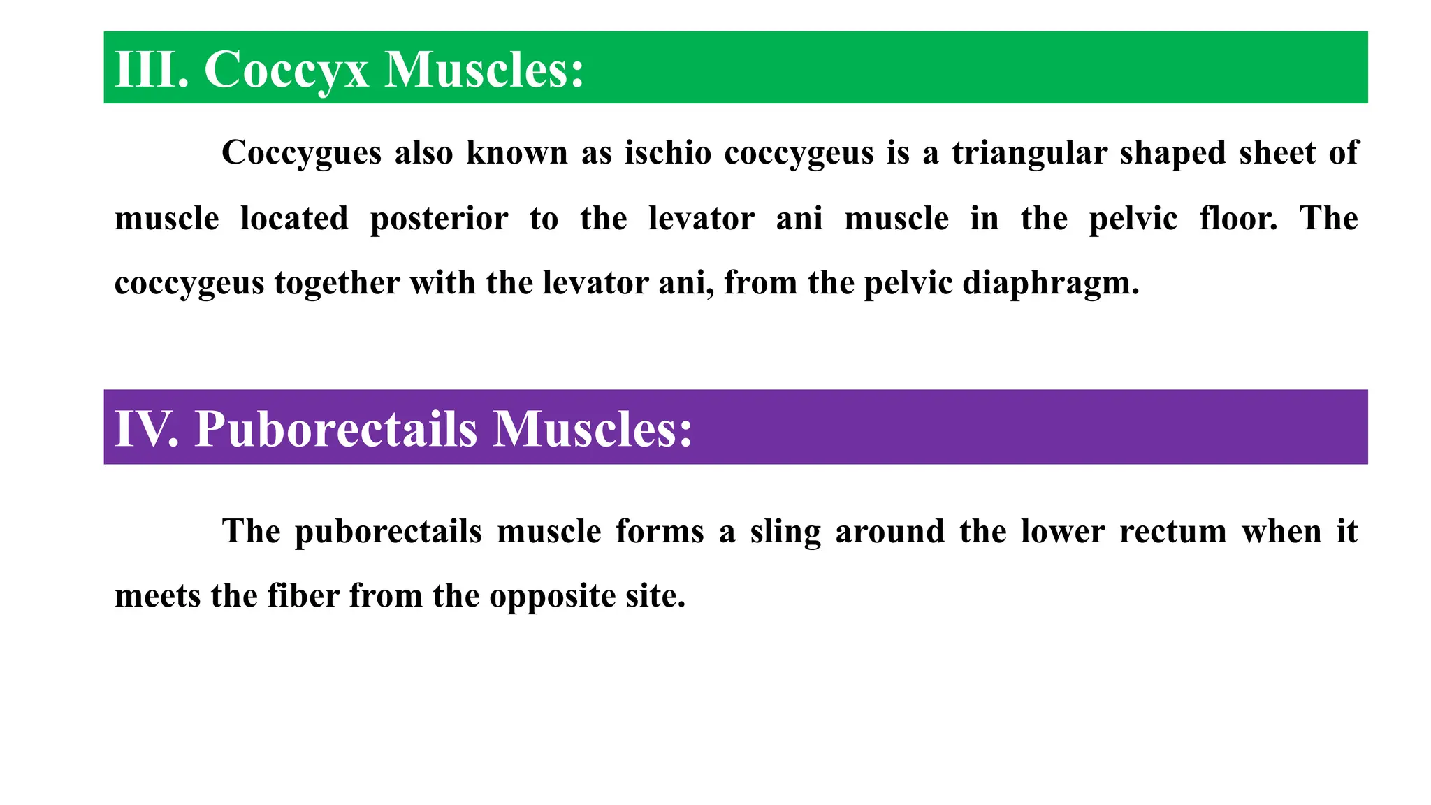 Anatomy of the pelvis- obstetrics and gynaecology | PPTX