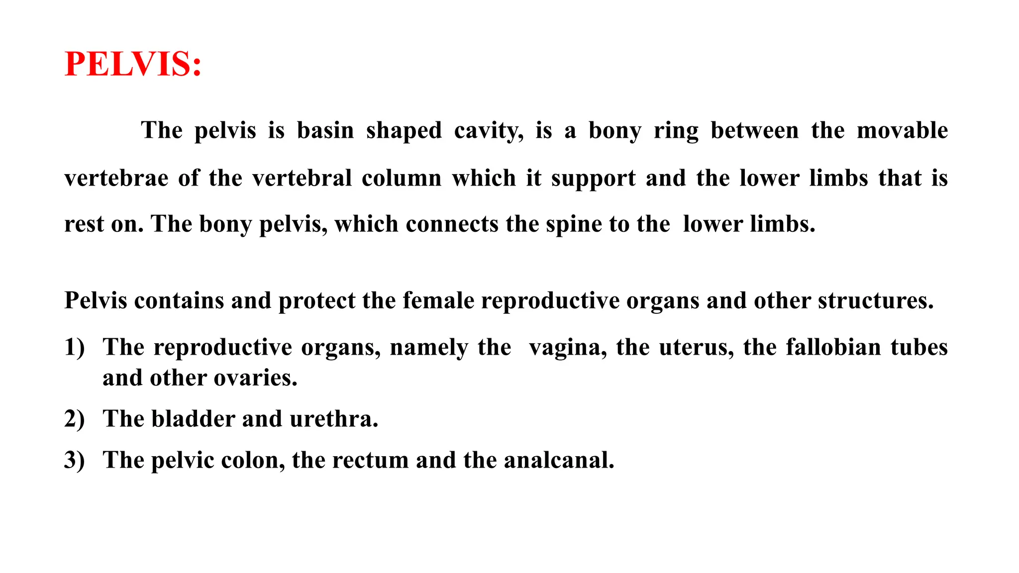 Anatomy of the pelvis- obstetrics and gynaecology | PPTX